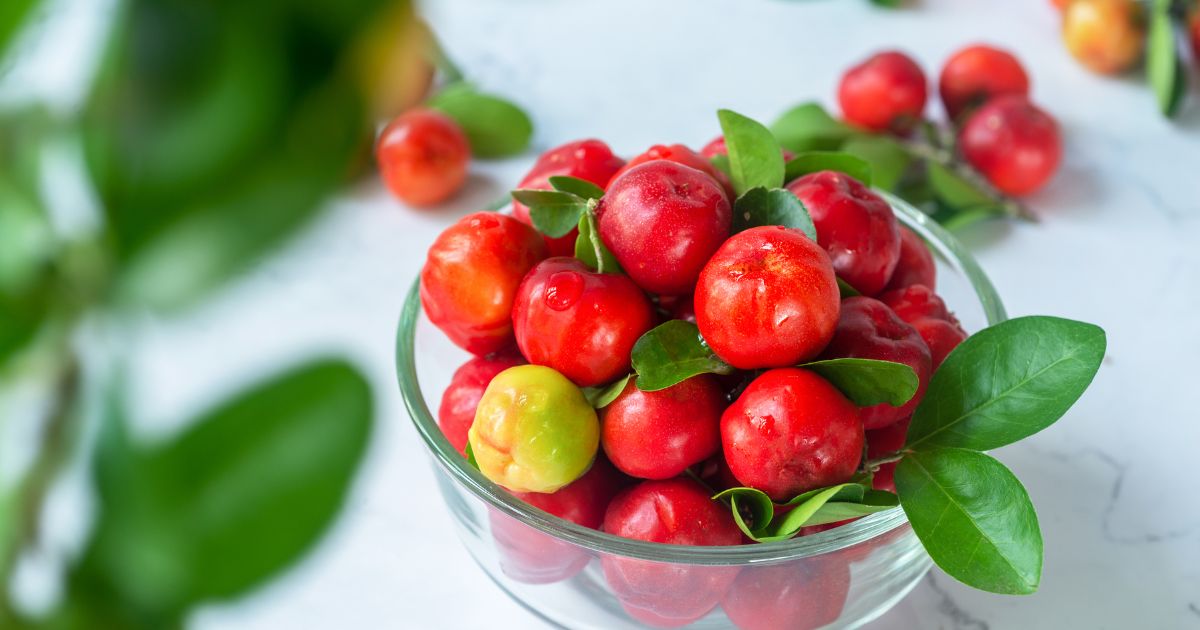 Acerola – co to jest za owoc? Sprawdź jej zastosowanie! | Blog