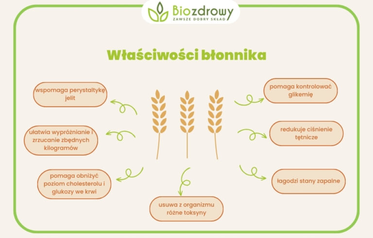 Błonnik Właściwości, Zalety i Przeciwwskazania - Blog Biozdrowy