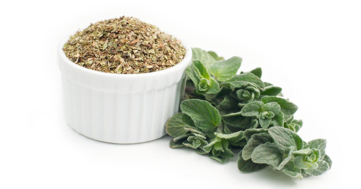 Oregano - właściwości, zastosowanie, wpływ na zdrowie - Blog