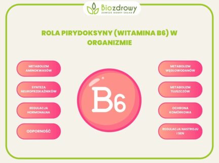 Witamina B6 (pirydoksyna) - rola, źródła i zastosowanie