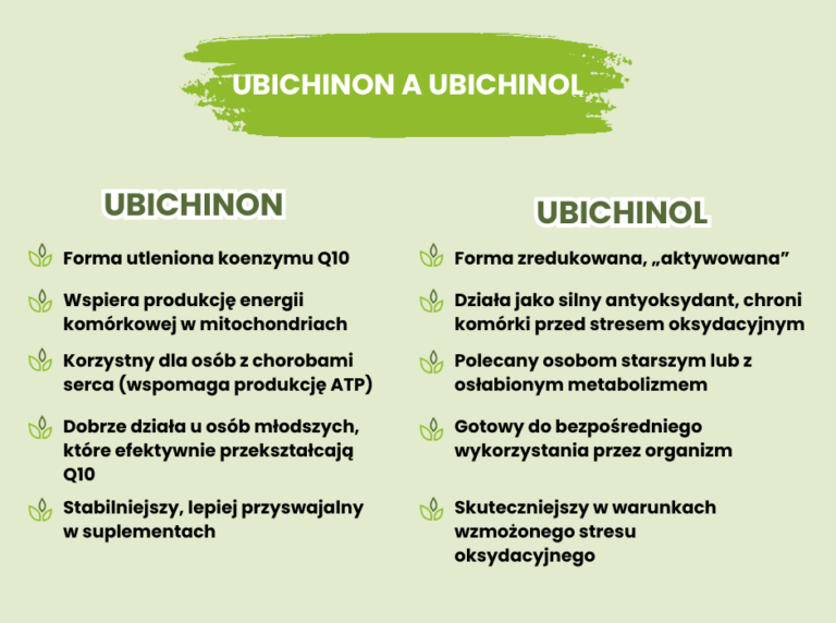 Ubichinon czy ubichinol? Który koenzym Q10 wybrać? | Blog
