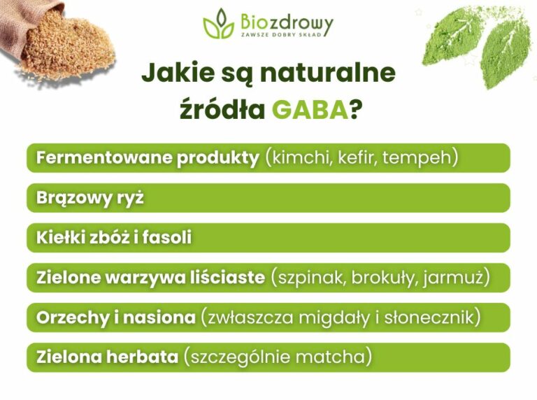 GABA – jakie właściwości ma kwas gamma-aminokwasowy | Blog